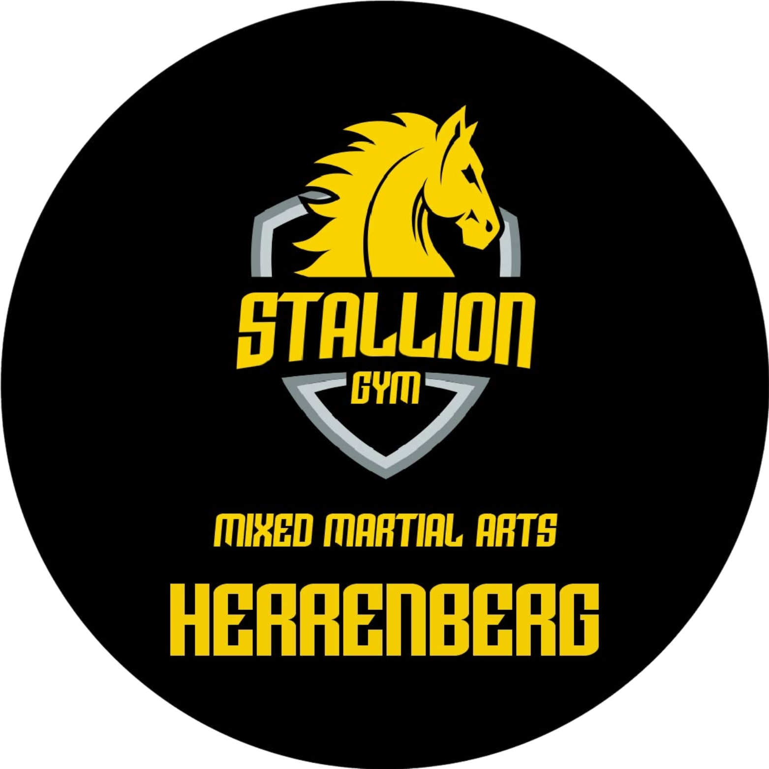 STALLION GYM Herrenberg - Kampfsport & Selbstverteidigung | BJJ, MMA ...